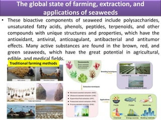 Seaweed farming status in world view B.pptx