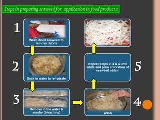 Seaweed food products morcon, lumpia, longganiza | PPT