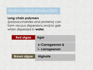 Intro to seaweed farming | PDF