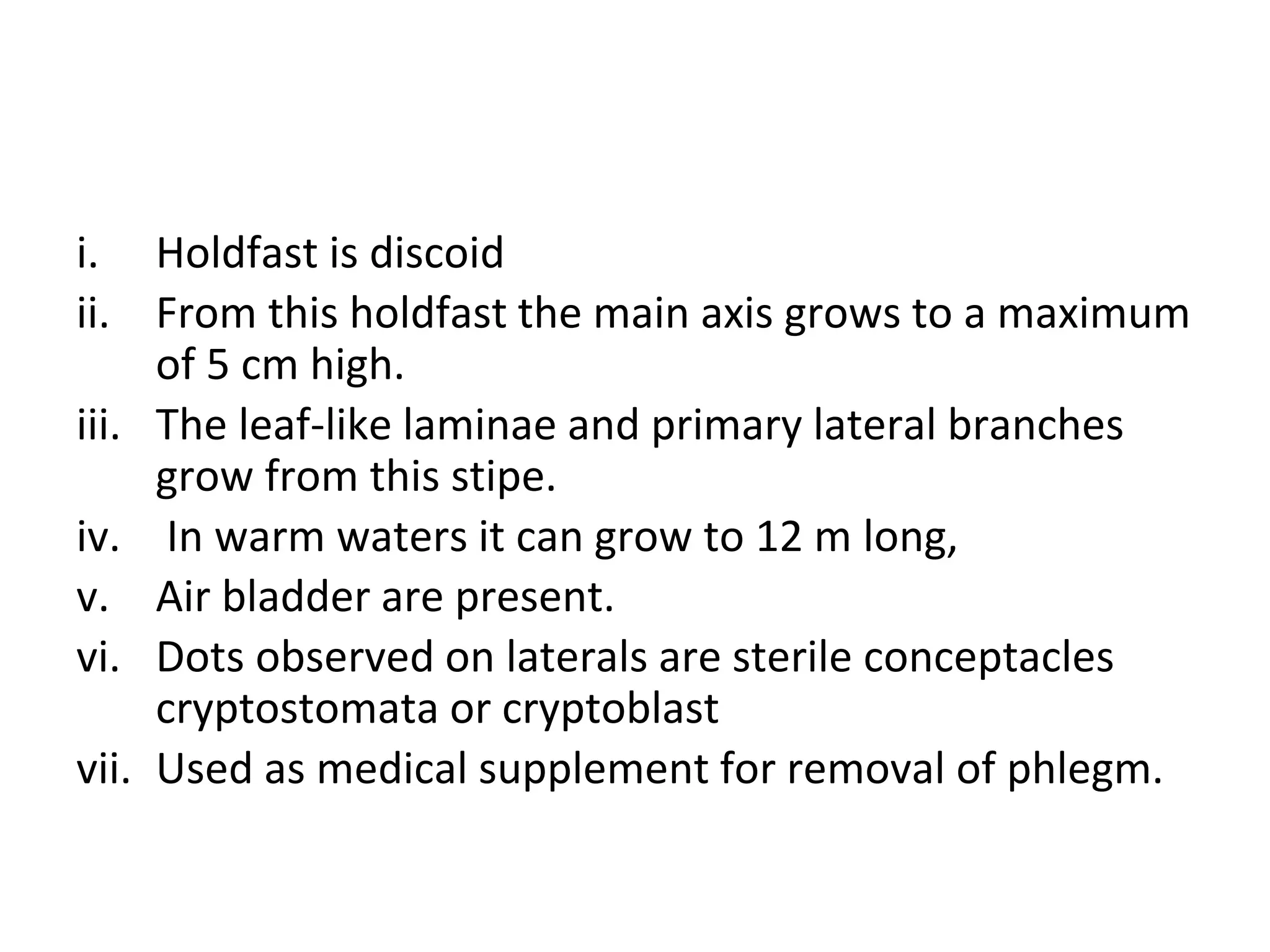 seaweeds and its Classification and Applicationpptx | PPTX