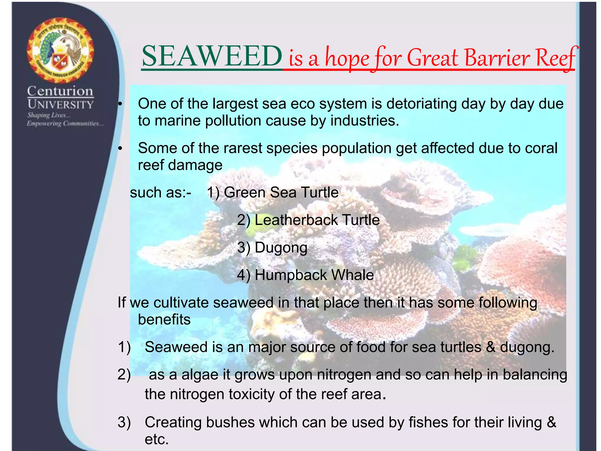 Seaweeds cultivation and utilization | PPTX