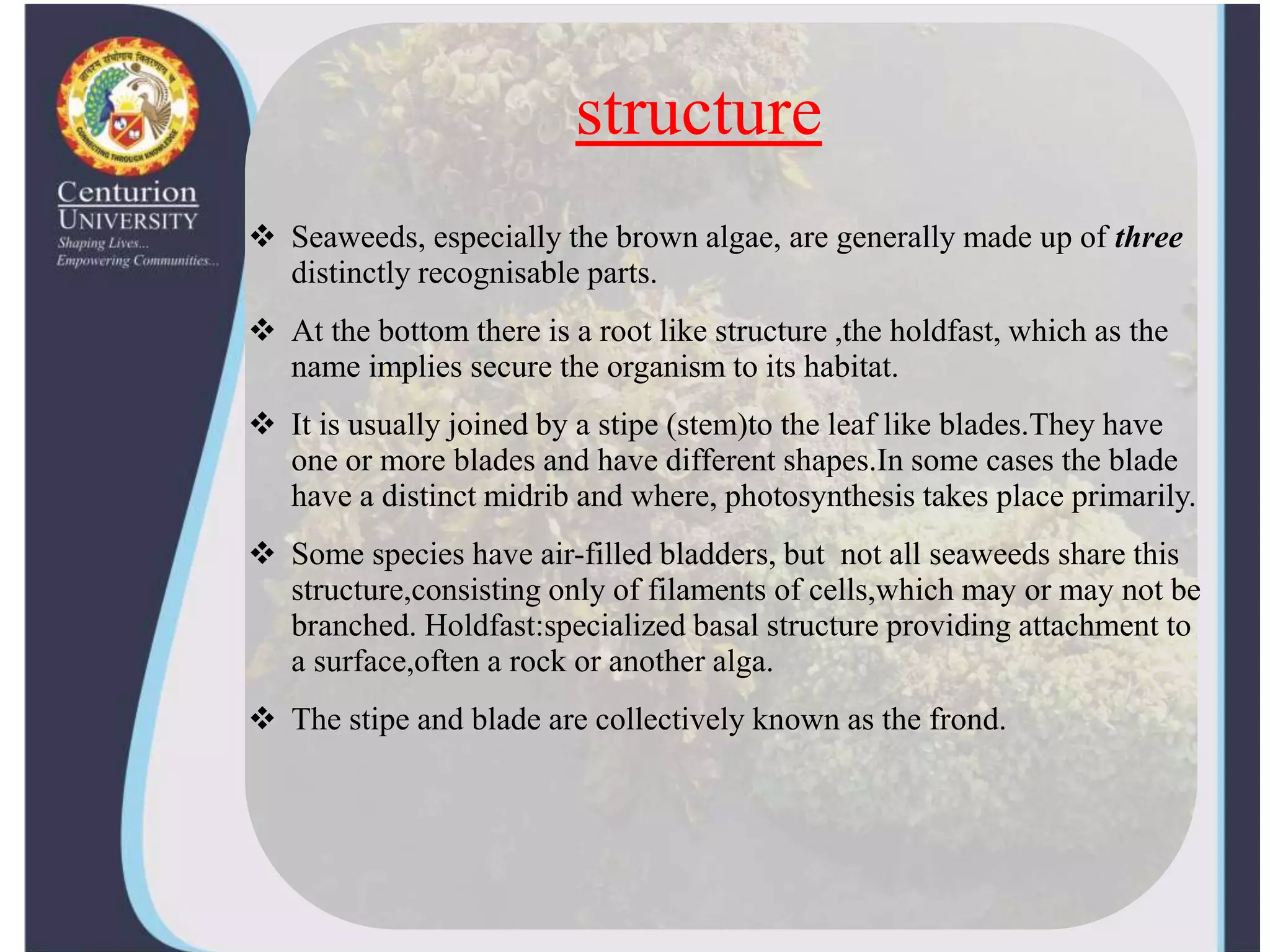 Seaweeds cultivation and utilization | PPTX