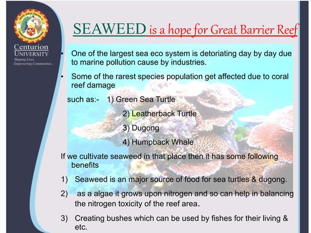 Seaweeds cultivation and utilization | PPTX | Agriculture | Industries