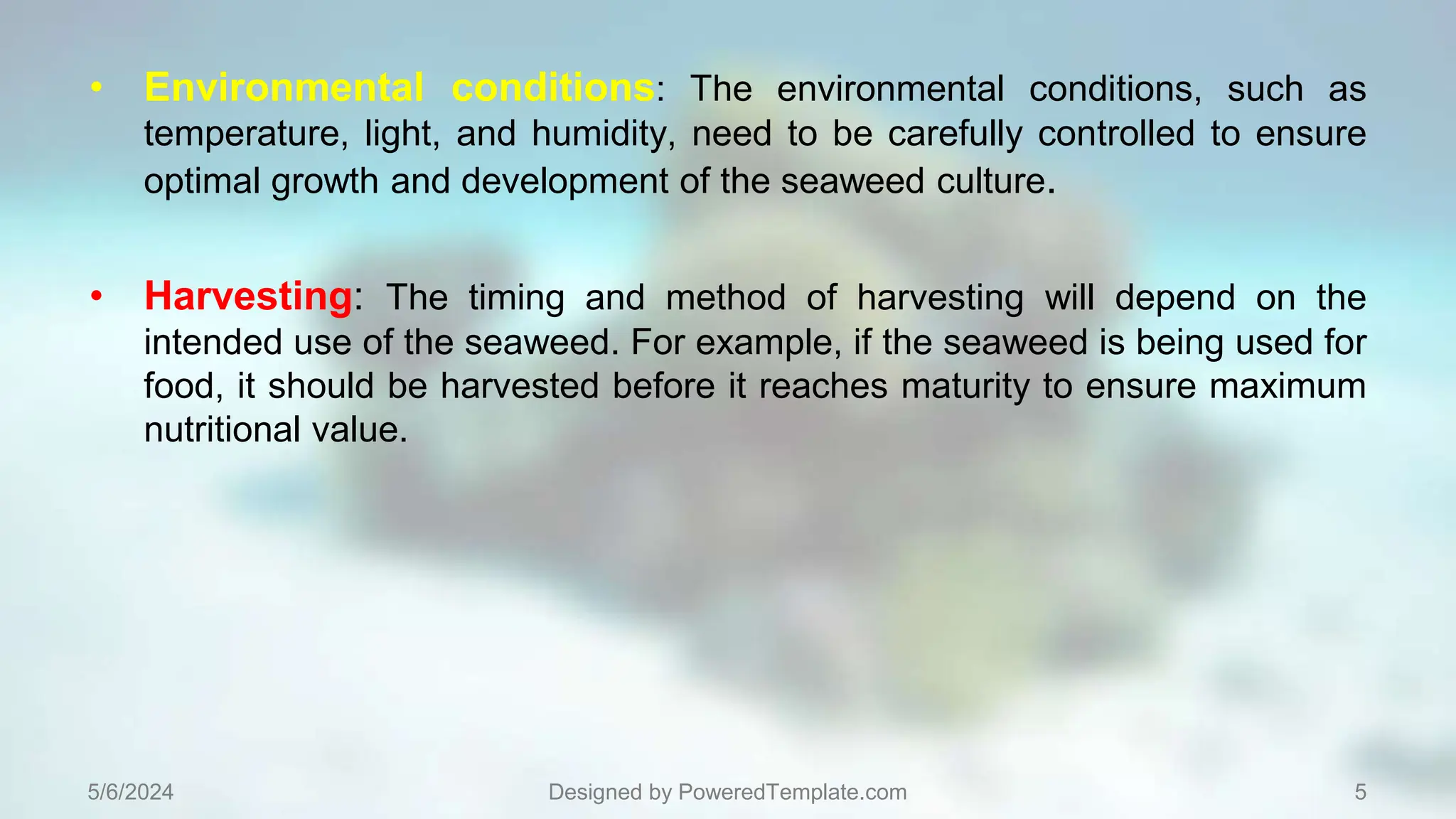 SEAWEED TISSUE CULTURE TECHNIQUE , FACTORS AFFECTING CULTURE.pptx