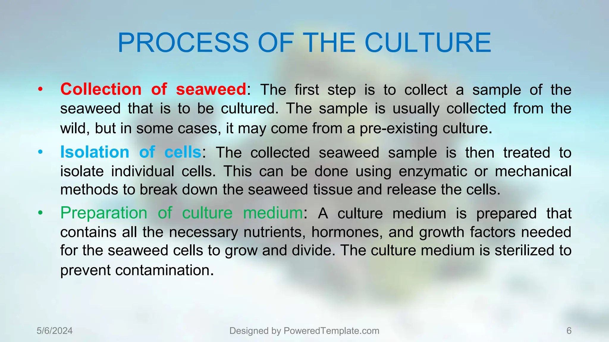 SEAWEED TISSUE CULTURE TECHNIQUE , FACTORS AFFECTING CULTURE.pptx