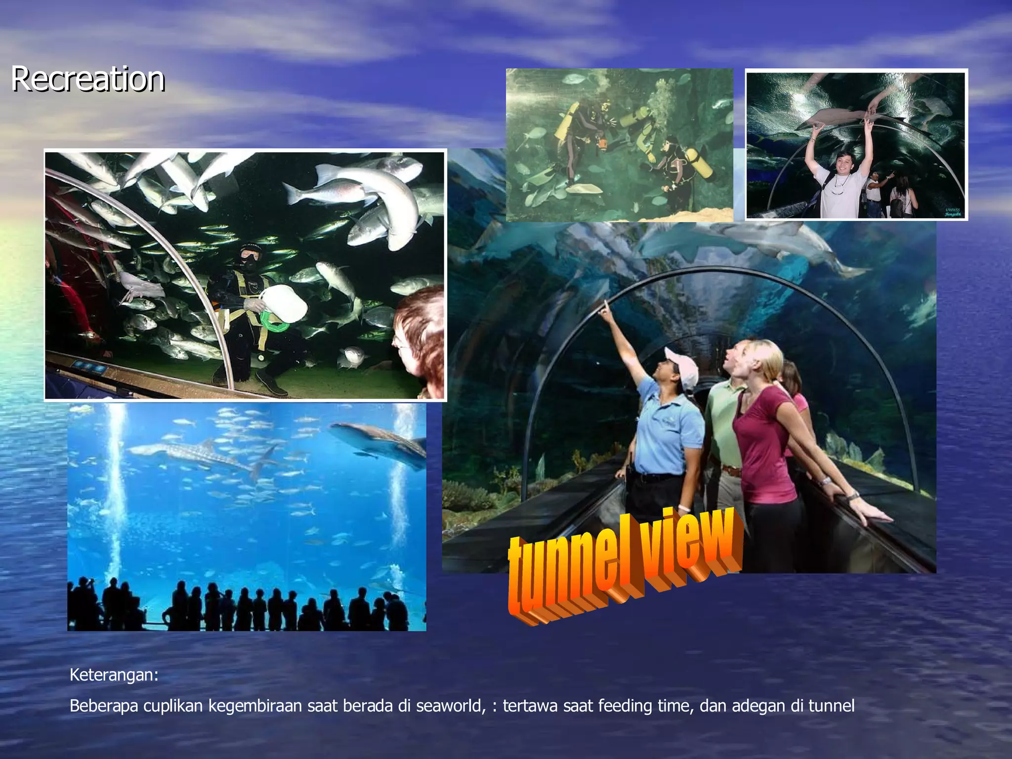 Seaworld Indonesia Tv Commercial | PPT
