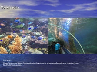 Seaworld Indonesia Tv Commercial | PPT
