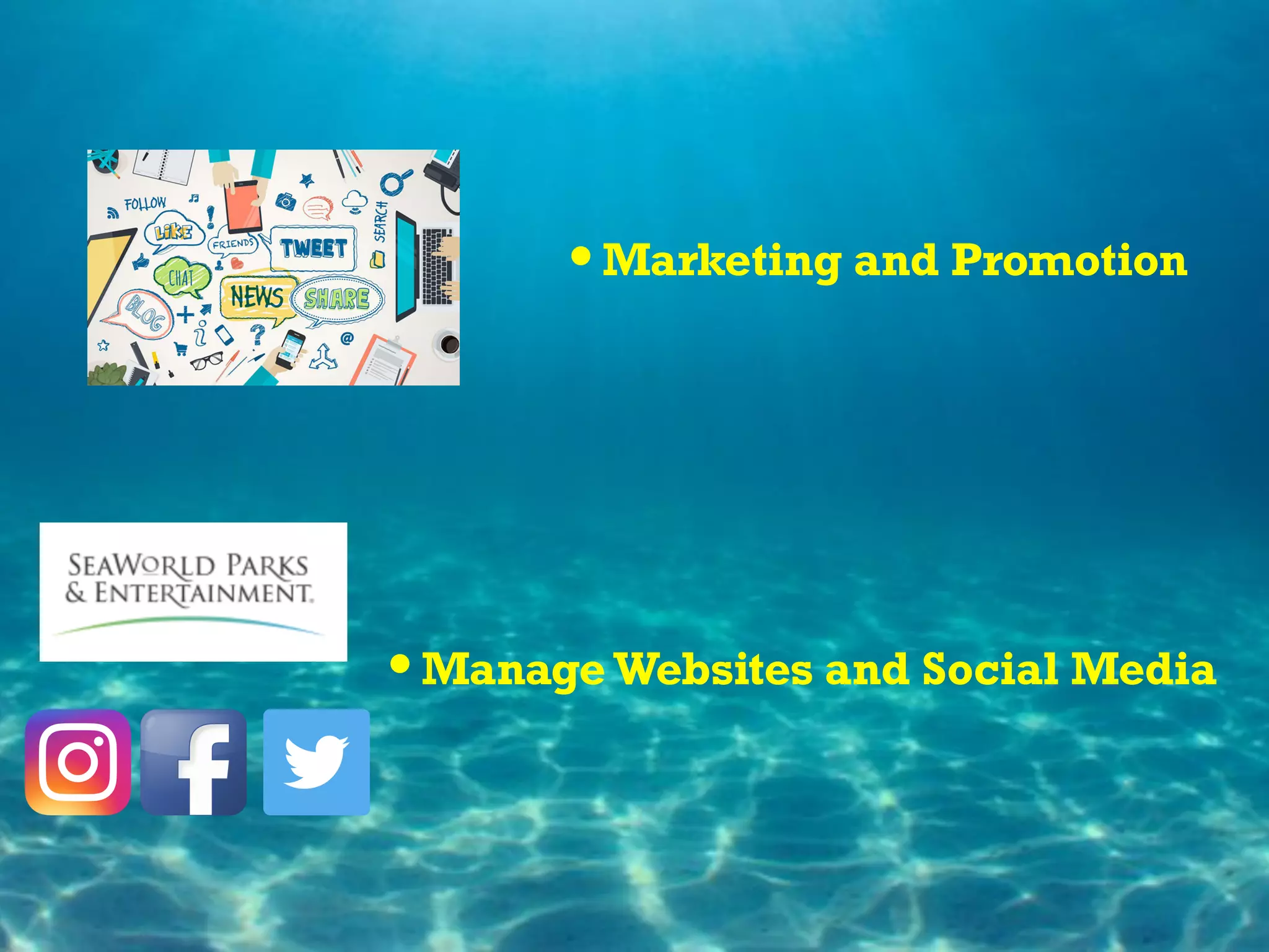 SeaWorld Business Model Keynote | PDF