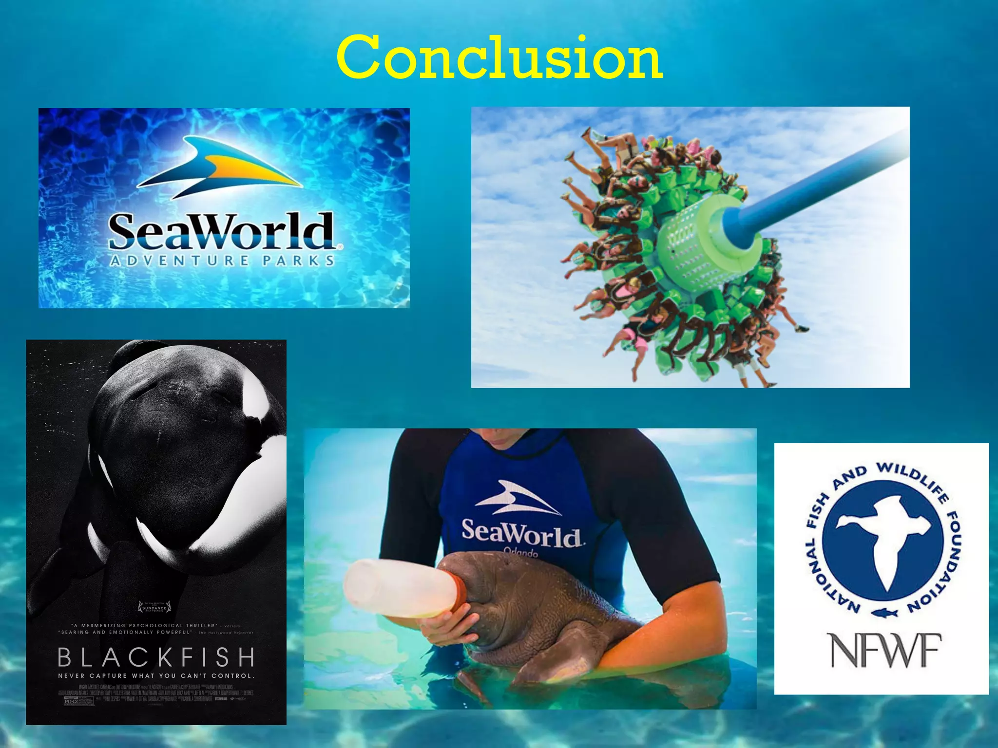 SeaWorld Business Model Keynote | PPT