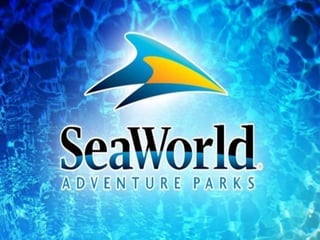 SeaWorld Business Model Keynote | PDF