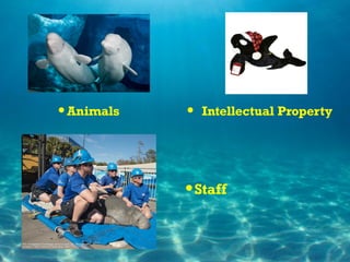 SeaWorld Business Model Keynote | PDF