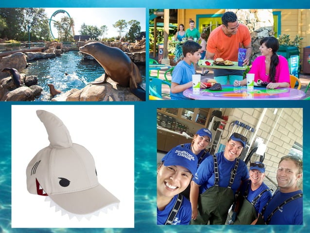 SeaWorld Business Model Keynote | PDF