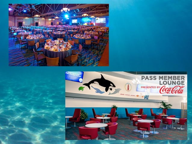 SeaWorld Business Model Keynote | PDF