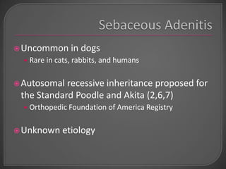 Sebaceous Adenitis | PPTX