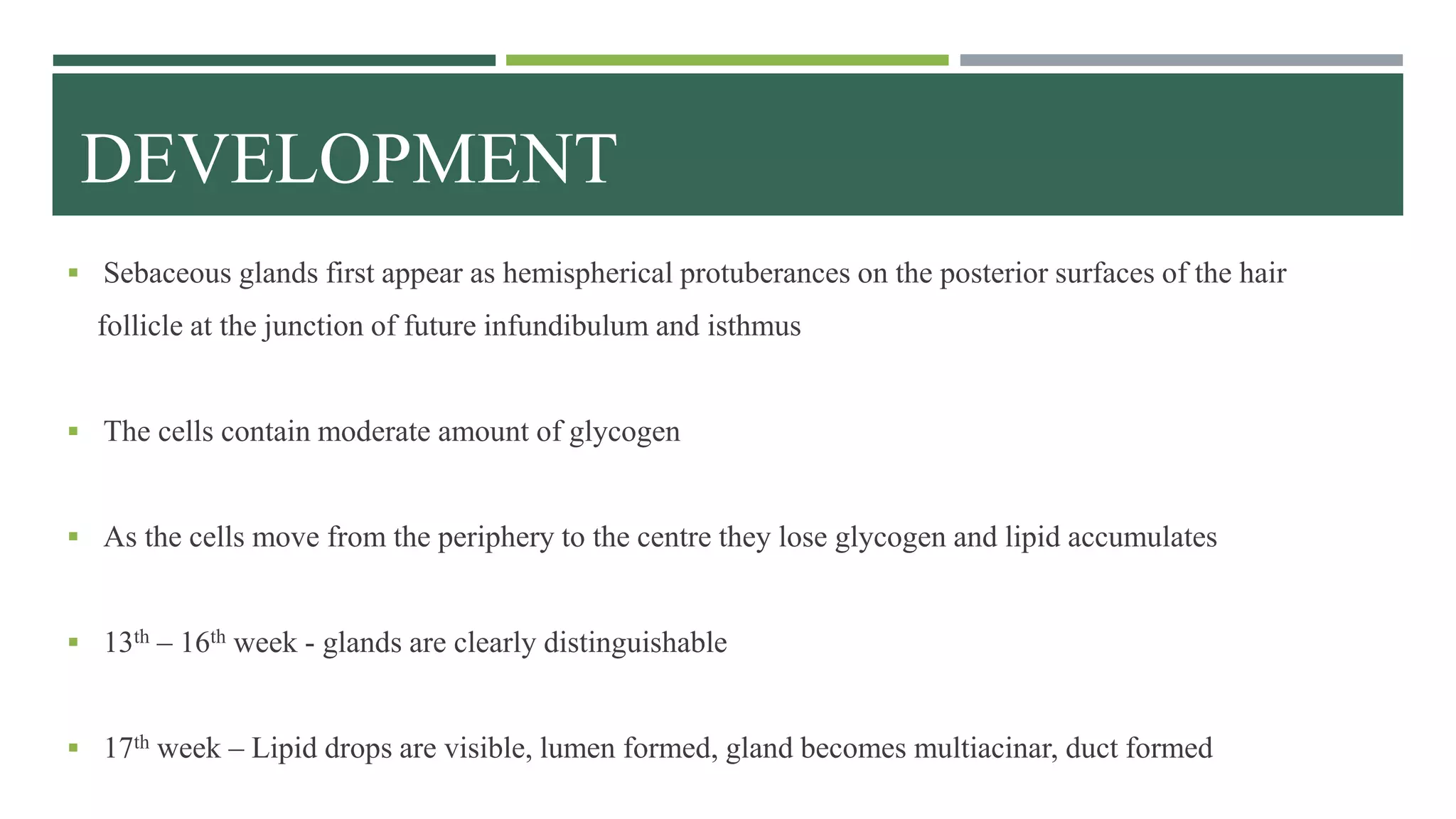 Sebaceous gland.pptx