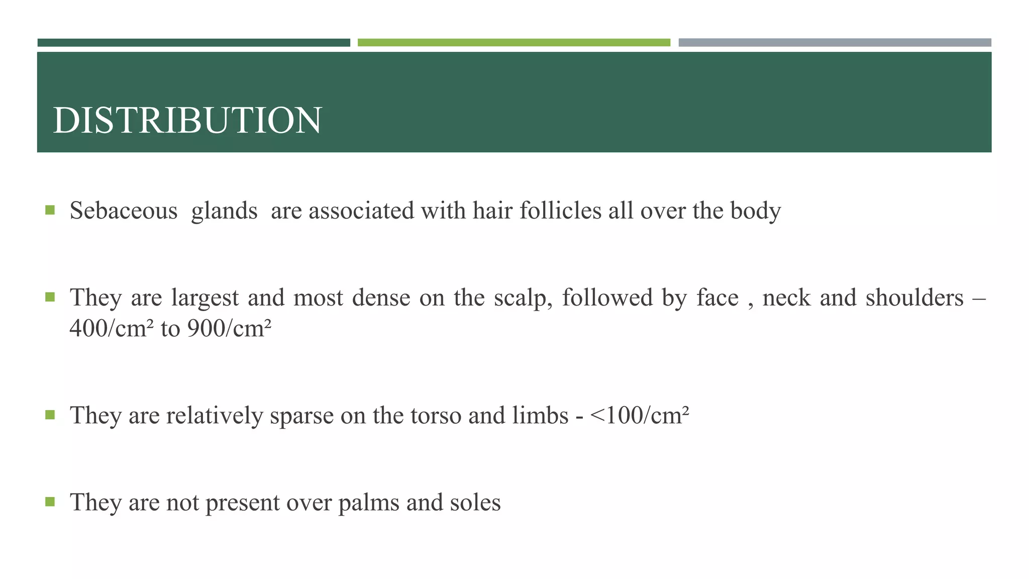 Sebaceous gland.pptx