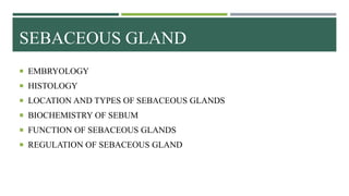 Sebaceous gland.pptx