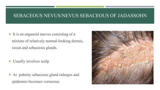 Sebaceous gland.pptx