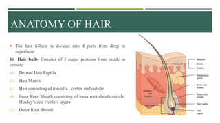Sebaceous gland.pptx