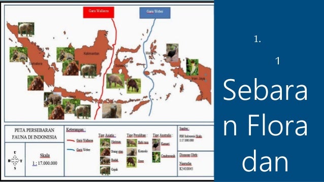 Persebaran Flora Fauna Geografi Kelas 11