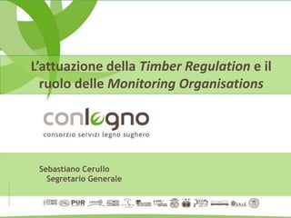 L'attuazione della timber regulation e il ruolo delle monitoring ...