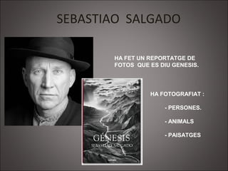 Sebastiao salgado | PPT
