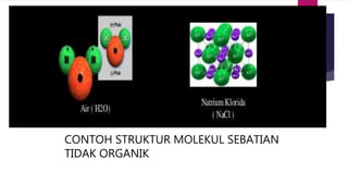 Sebatian karbon | PPTX