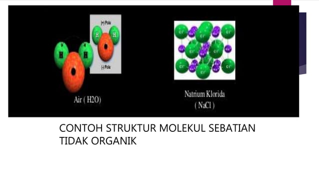 Sebatian karbon | PPT