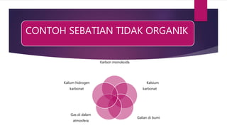 Sebatian karbon | PPTX
