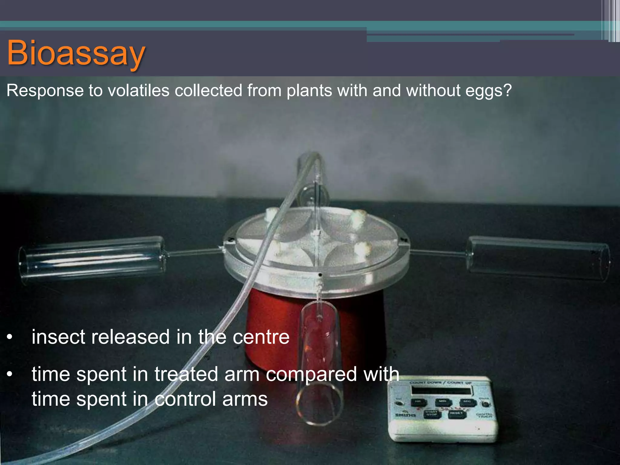 Seb bruce insect-plant interactions | PPTX