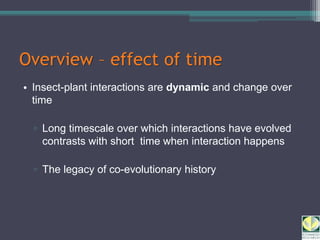 Seb bruce insect-plant interactions | PPTX
