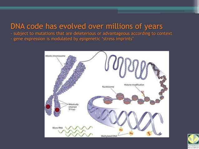 Seb bruce insect-plant interactions | PPTX