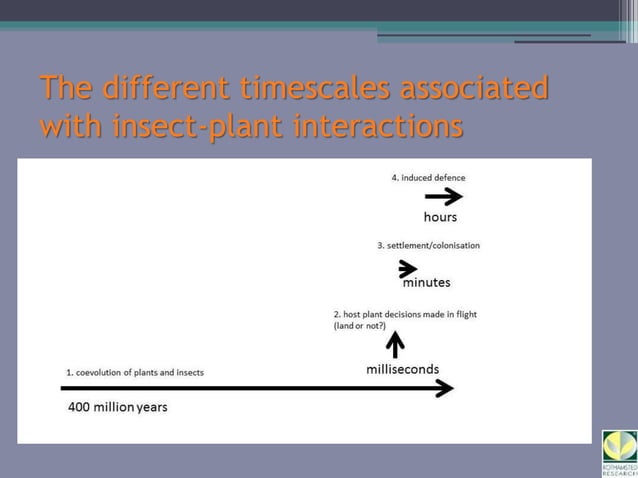Seb bruce insect-plant interactions | PPTX