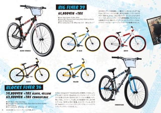 SE BIKES 2019 catalog for web | PDF