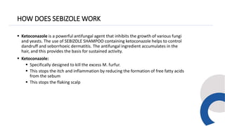 Sebizole Training Feb 2023.pptx