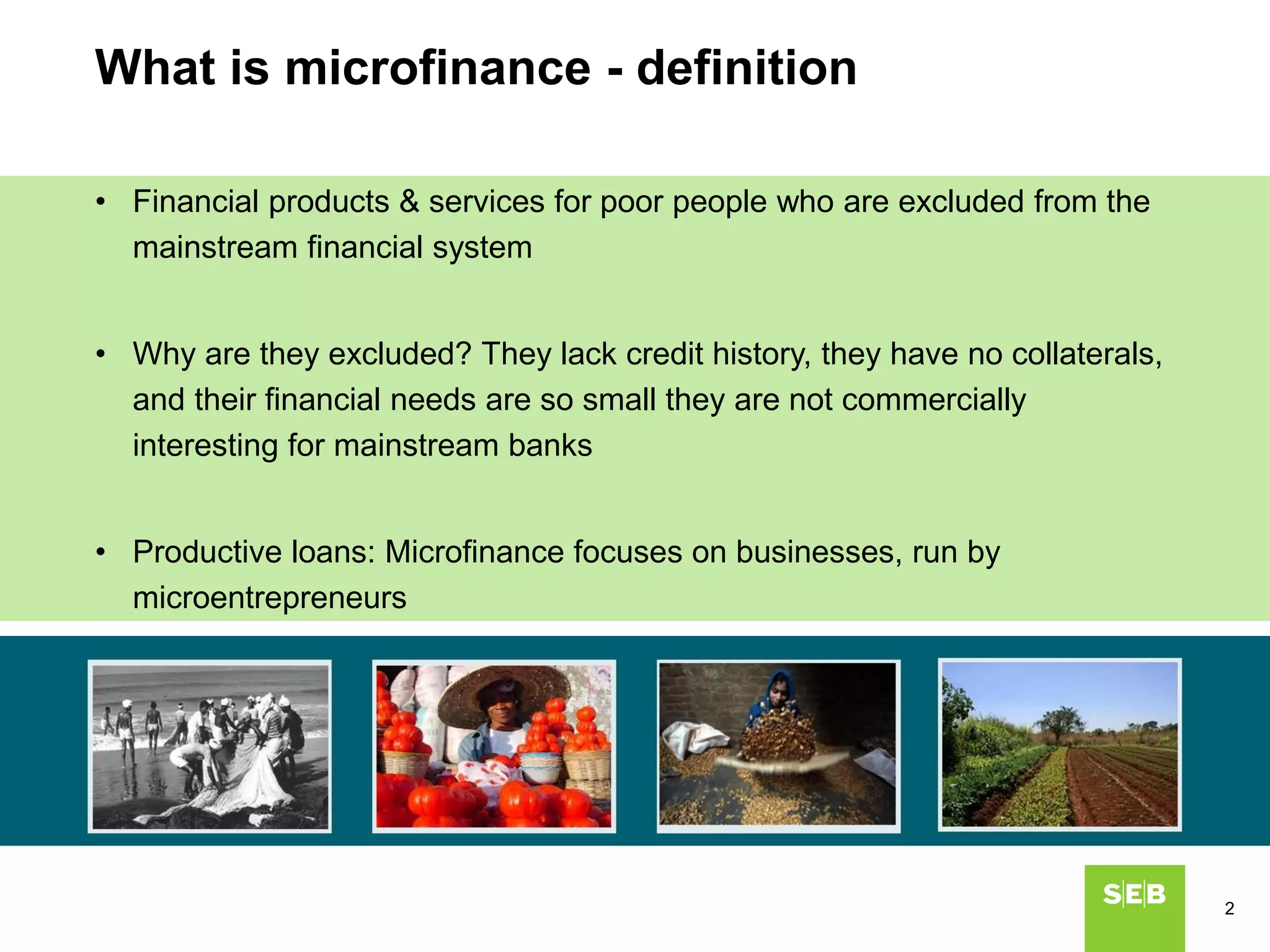 SEB Microfinance Viktor Andersson | PDF