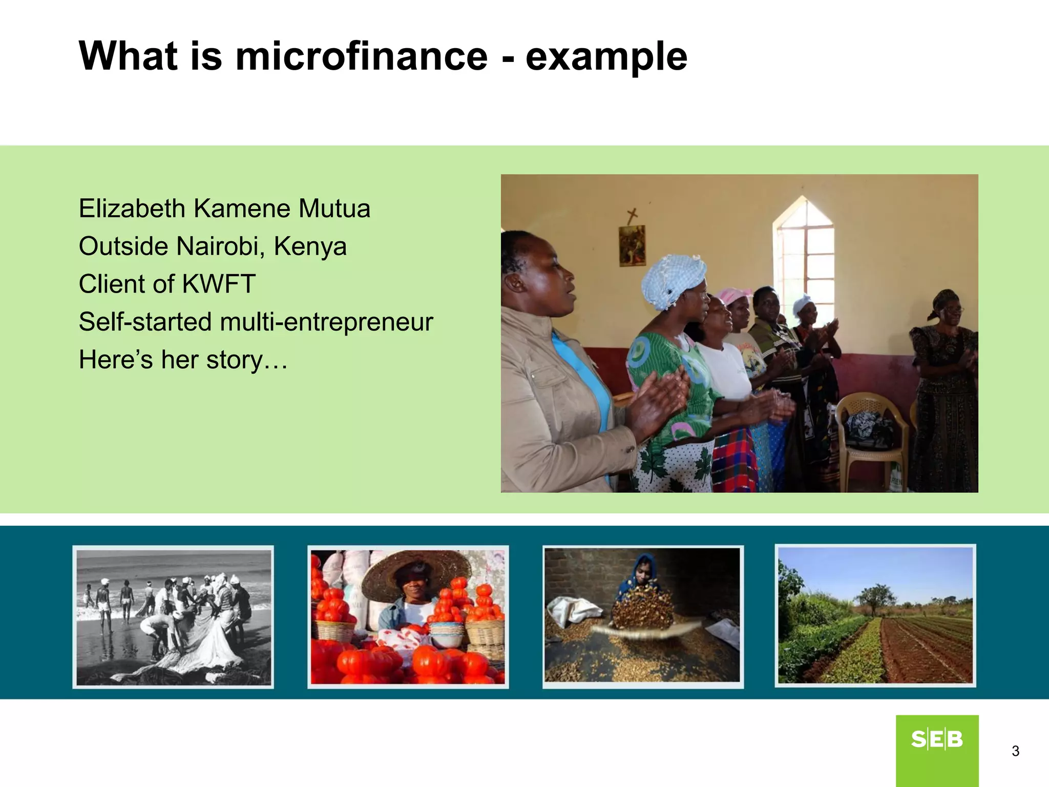 SEB Microfinance Viktor Andersson | PDF