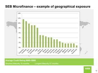 SEB Microfinance Viktor Andersson | PPT