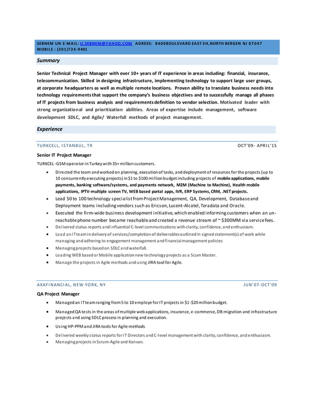 Senior Project Manager | PDF