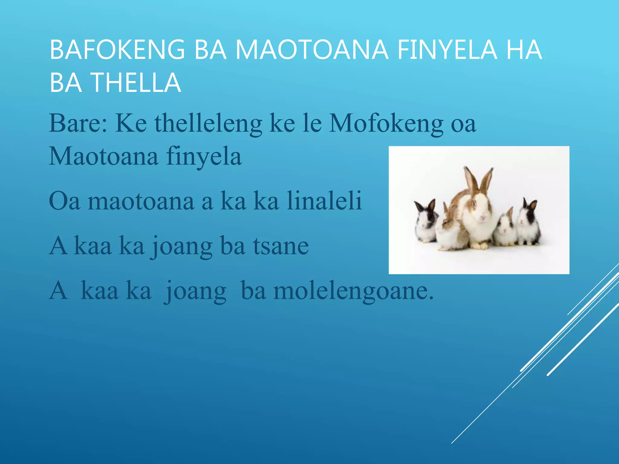 SEBOKO SA BAFOKENG | PPTX