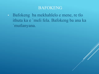 SEBOKO SA BAFOKENG | PPTX