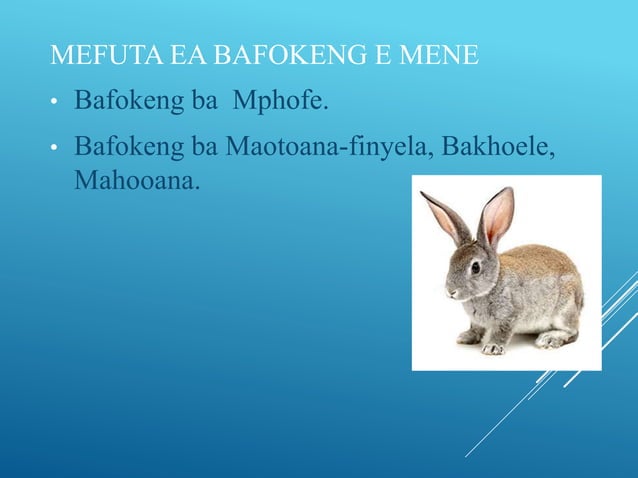 SEBOKO SA BAFOKENG | PPTX