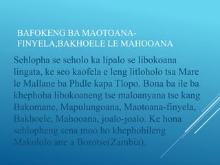 SEBOKO SA BAFOKENG | PPTX