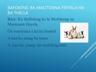 SEBOKO SA BAFOKENG | PPTX