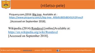 SEBOLELI SA BOEMO | PPTX | Social Networking | Internet