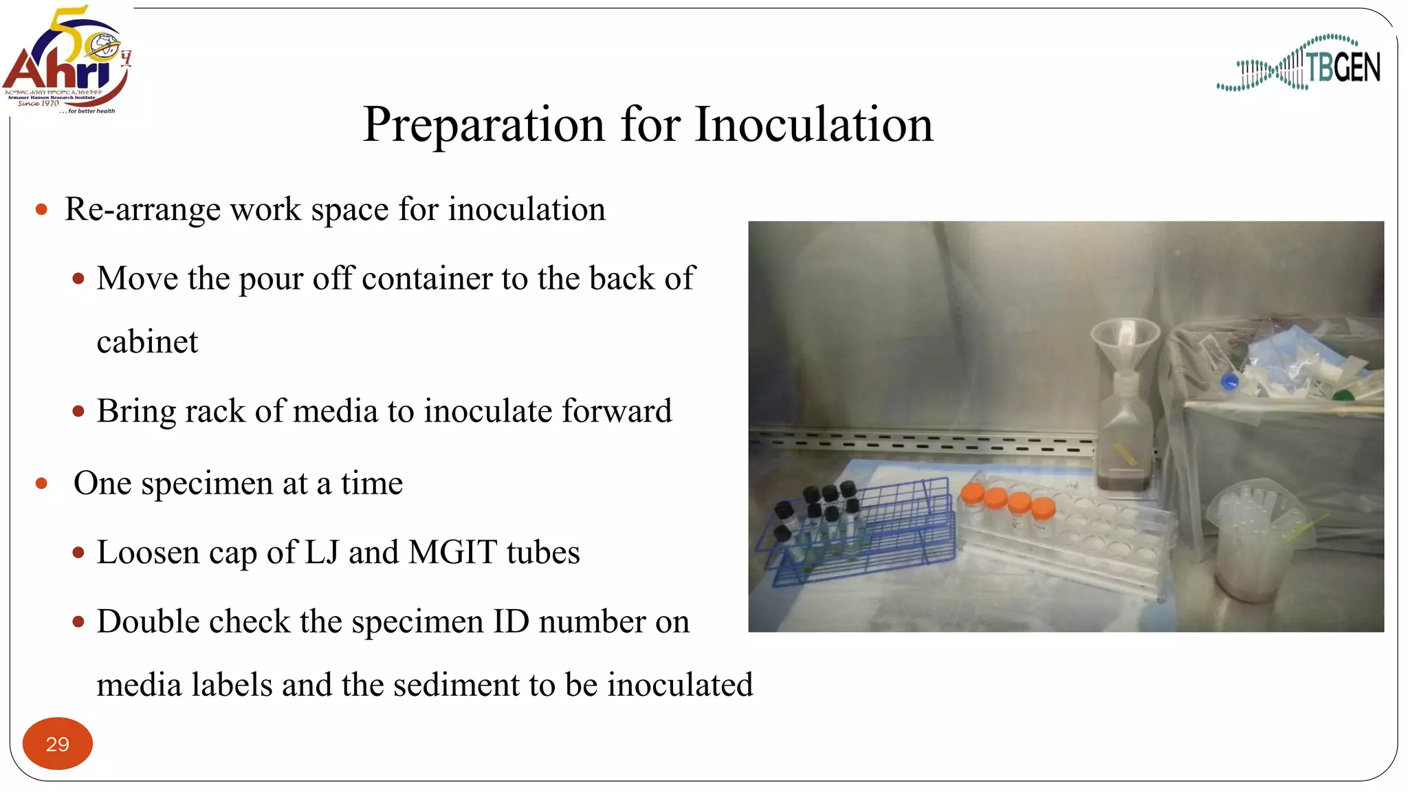 Sebsib - Processing and inoculation of sputum specimens.pdf