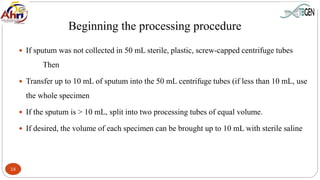Sebsib - Processing and inoculation of sputum specimens.pdf