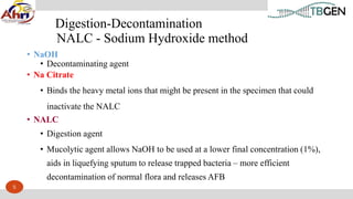 Sebsib - Processing and inoculation of sputum specimens.pdf