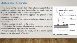 sebumeter.pptx