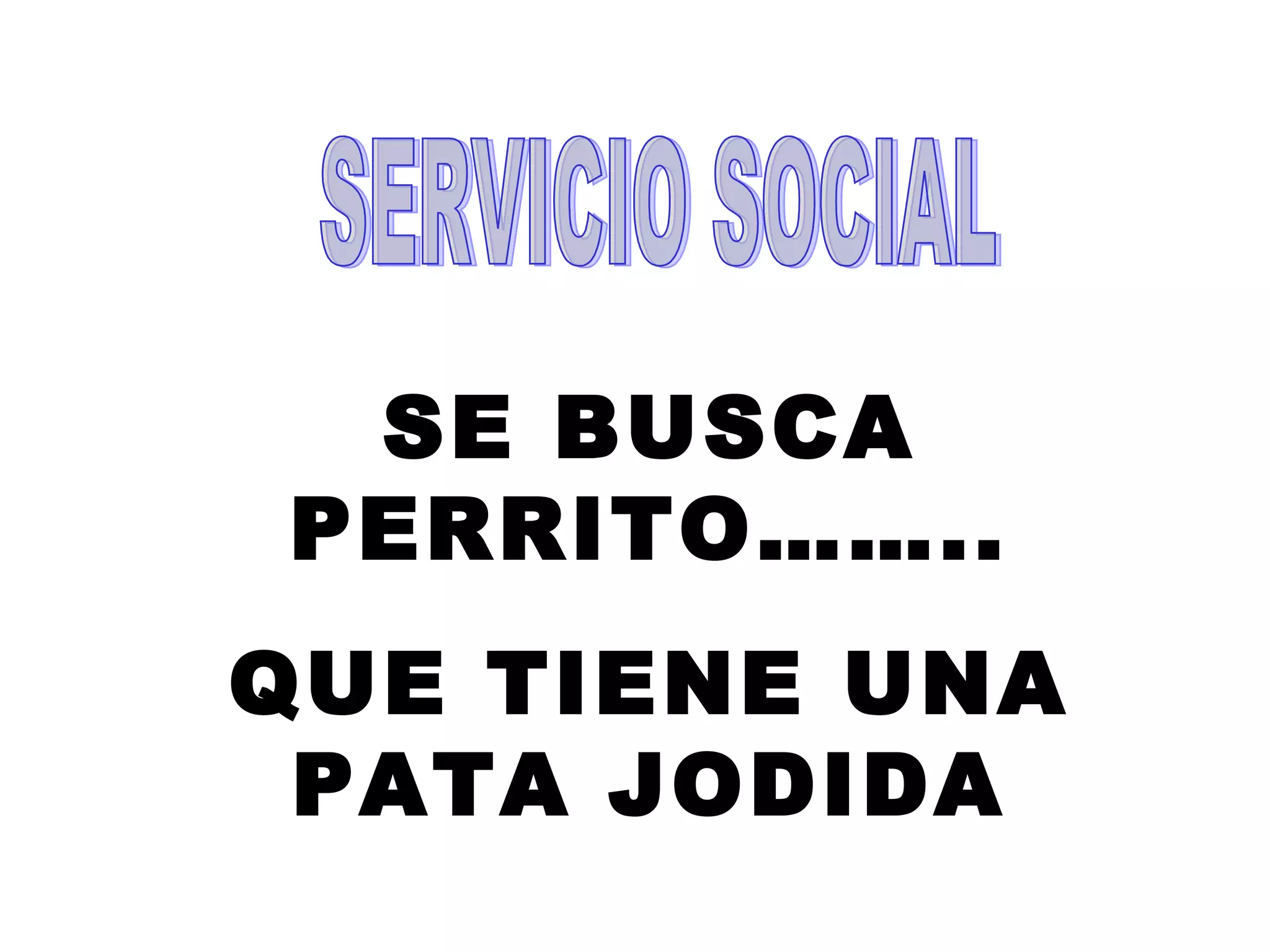 Se busca perrito | PPT | Dogs | Pets